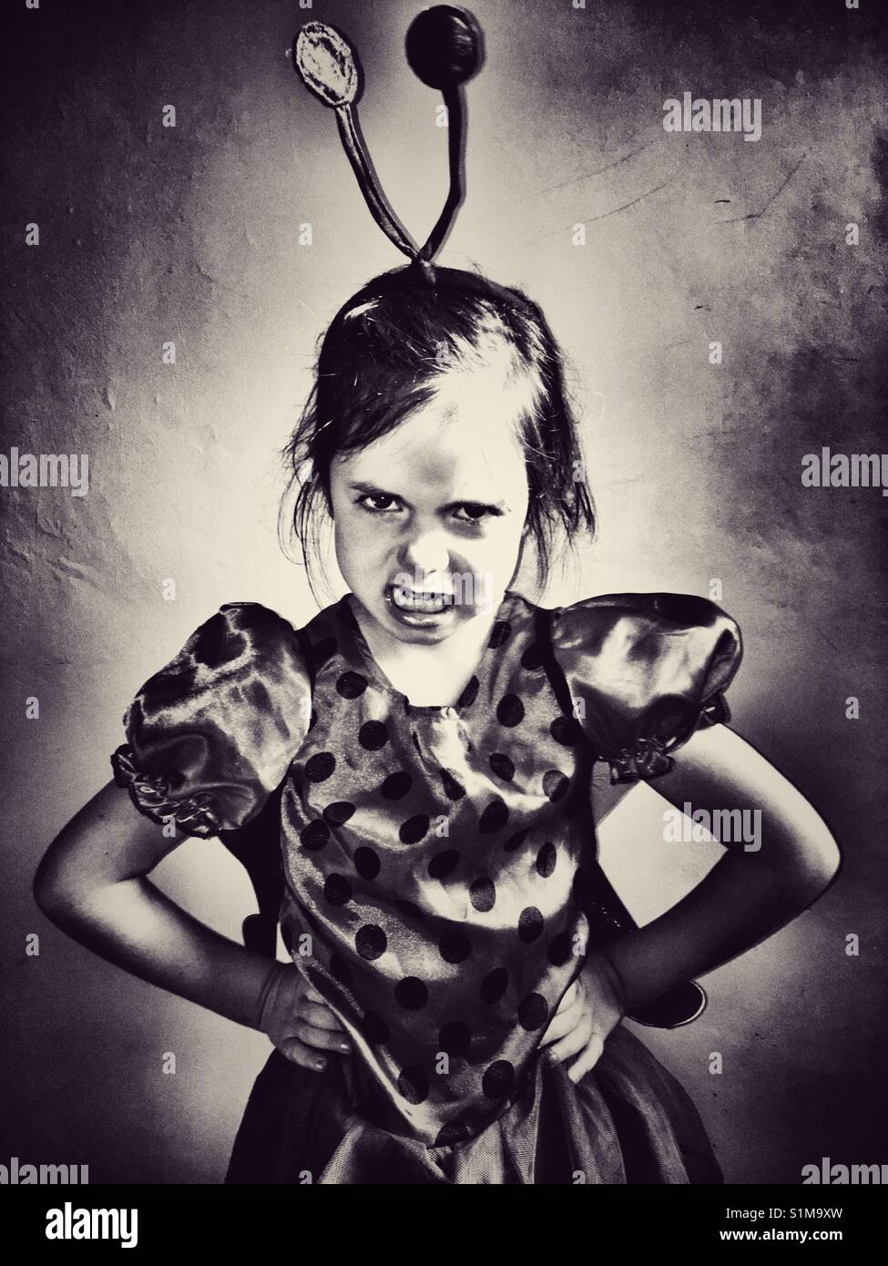 Angry fancy dress ladybird Stock Photo - Alamy