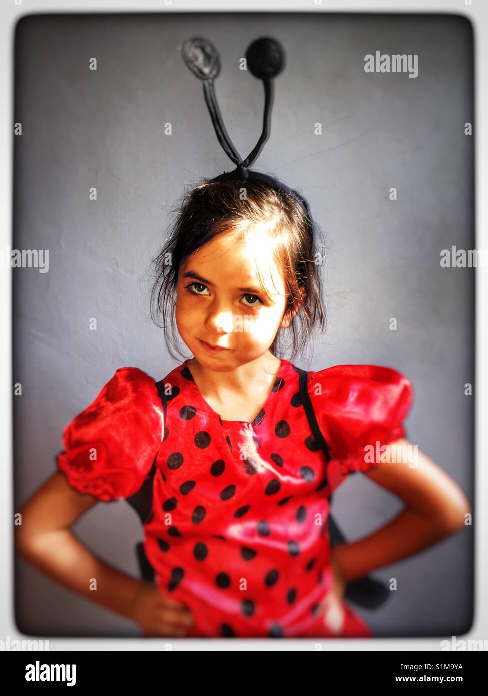 Ladybird costume hi-res stock photography and images - Alamy