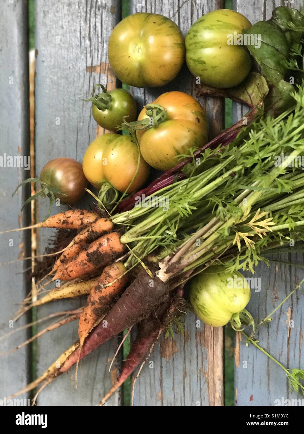Ecological vegetables hi-res stock photography and images - Alamy