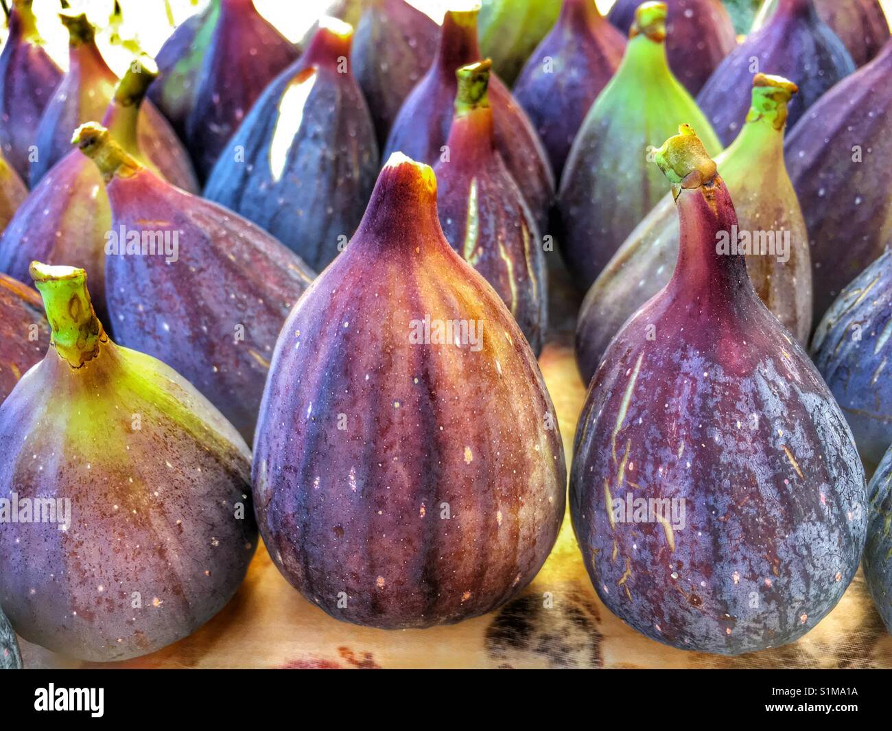 Freshly picked organic figs Stock Photo - Alamy