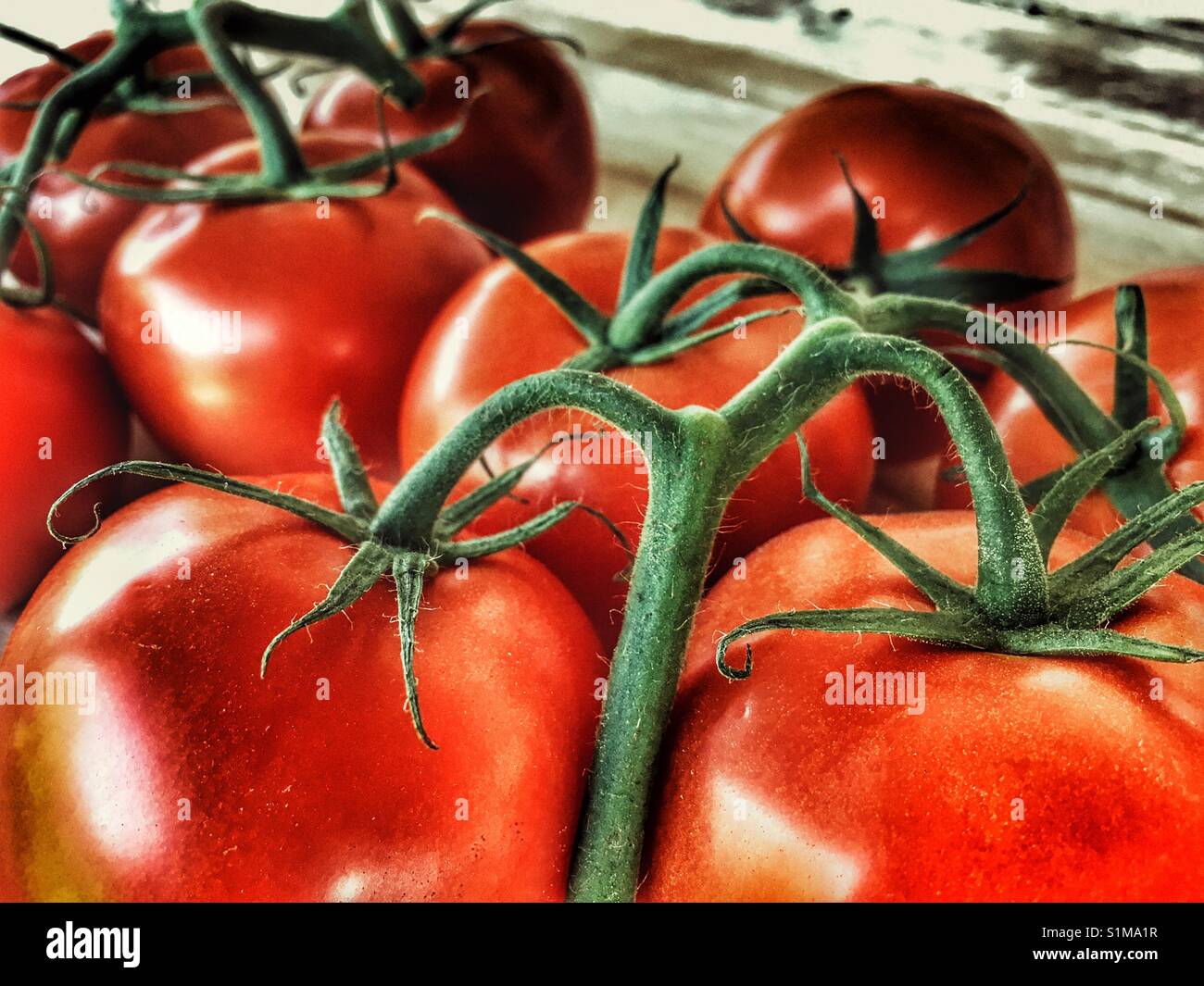 Close up tomato vine hi-res stock photography and images - Alamy