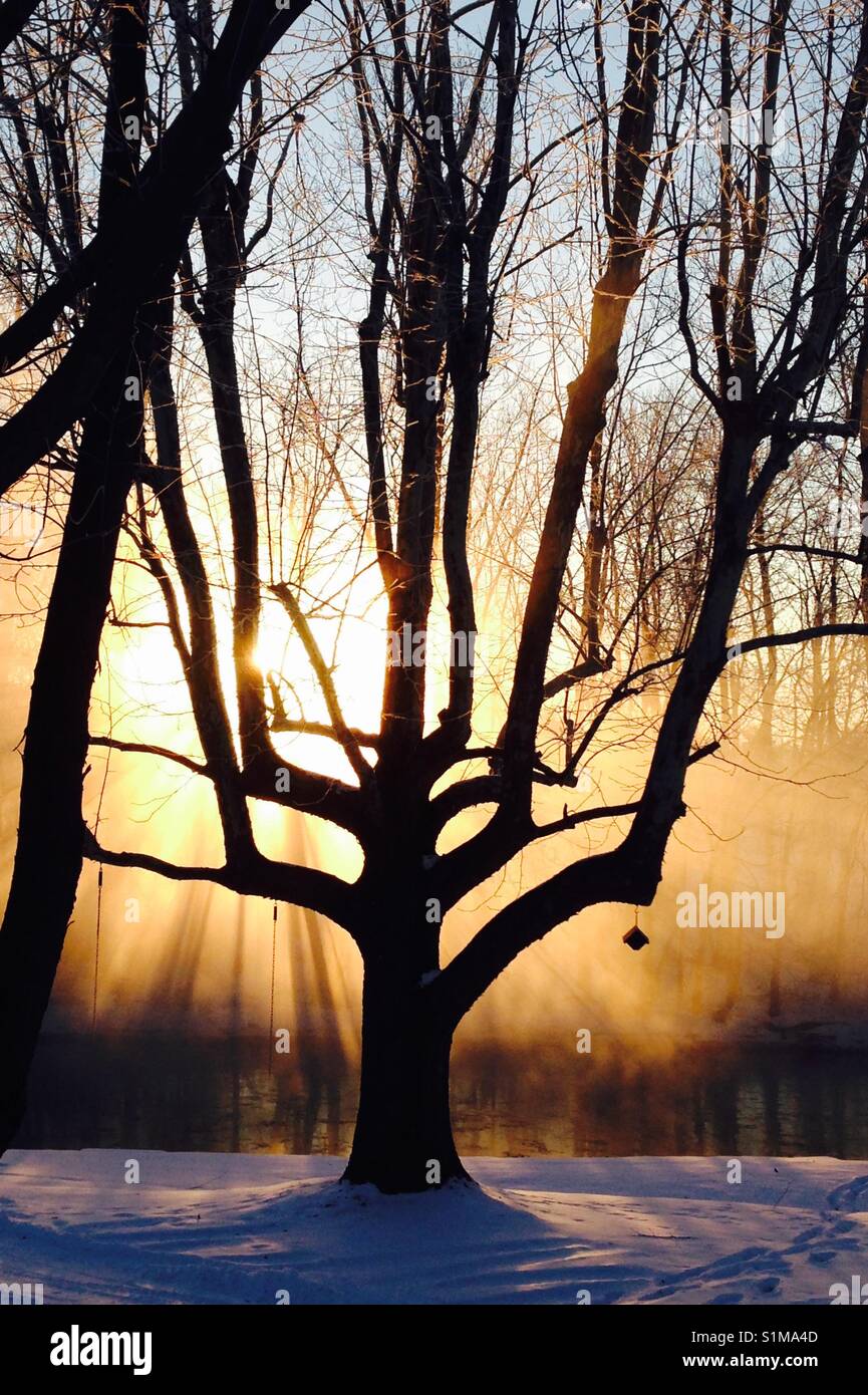 Cold winter morning Stock Photo - Alamy