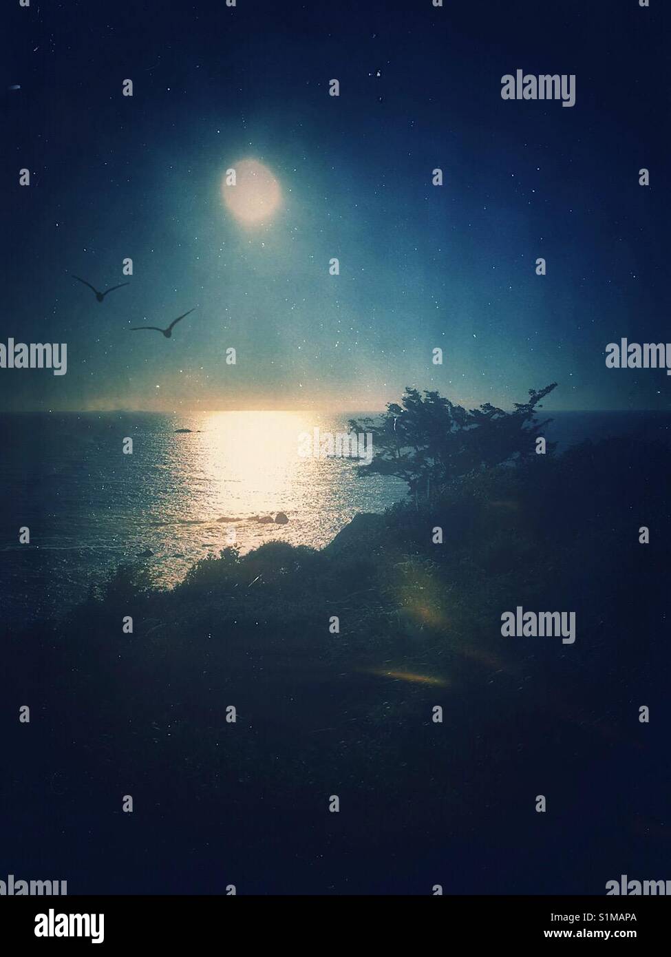 Stars over pacific ocean hi-res stock photography and images - Alamy