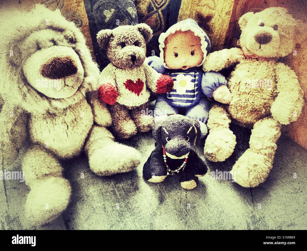 Stuffed animals sitting on a couch Stock Photo - Alamy