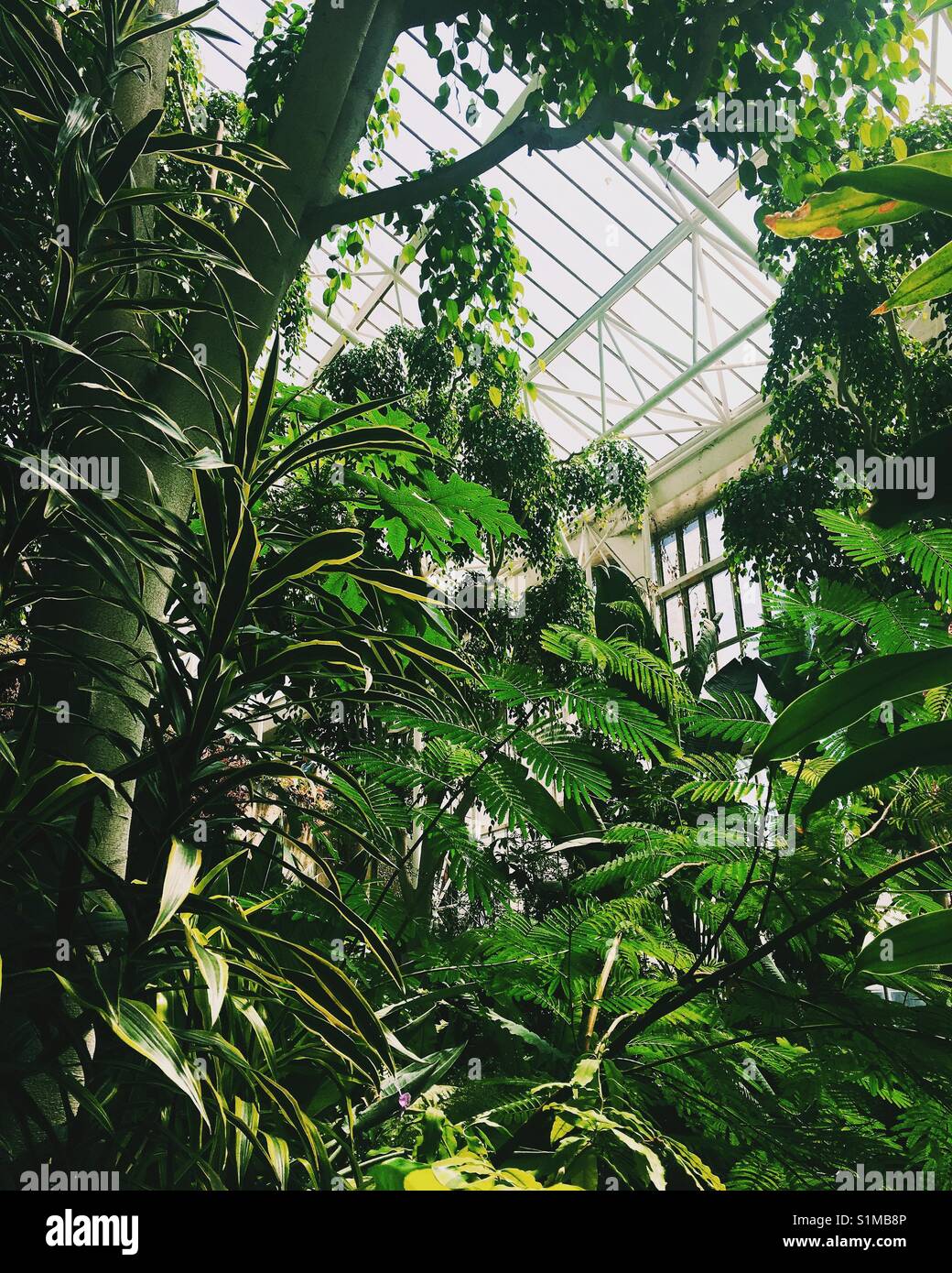 Barbican conservatory hi-res stock photography and images - Alamy