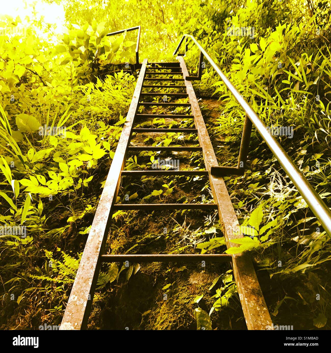 Ladder mountain hi-res stock photography and images - Alamy