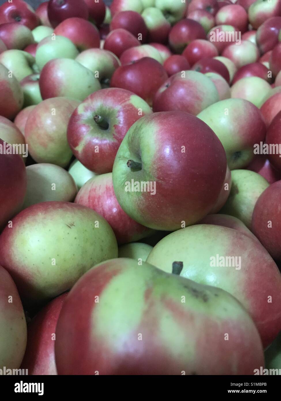 Apples discovery hi-res stock photography and images - Alamy