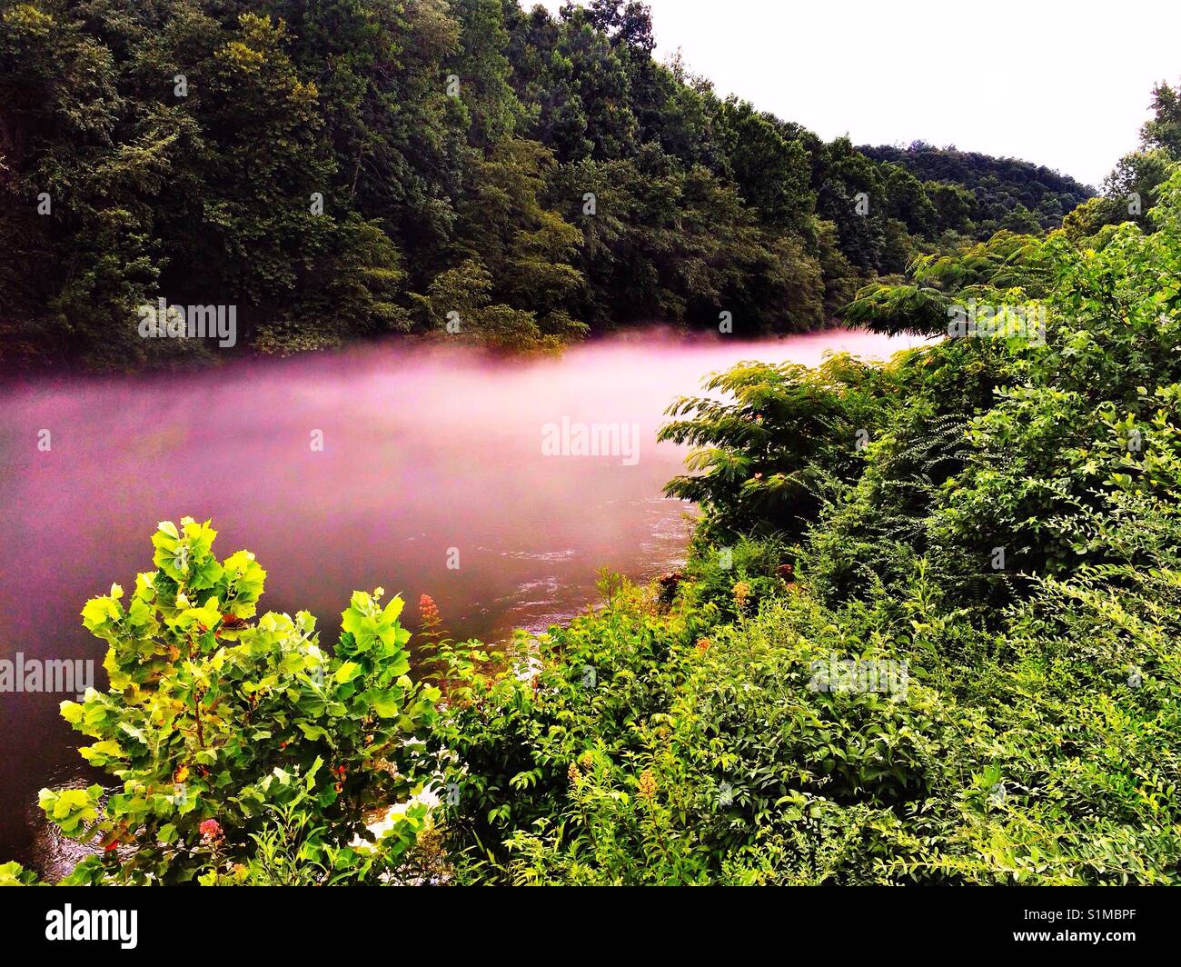 Mysterious river hi-res stock photography and images - Alamy