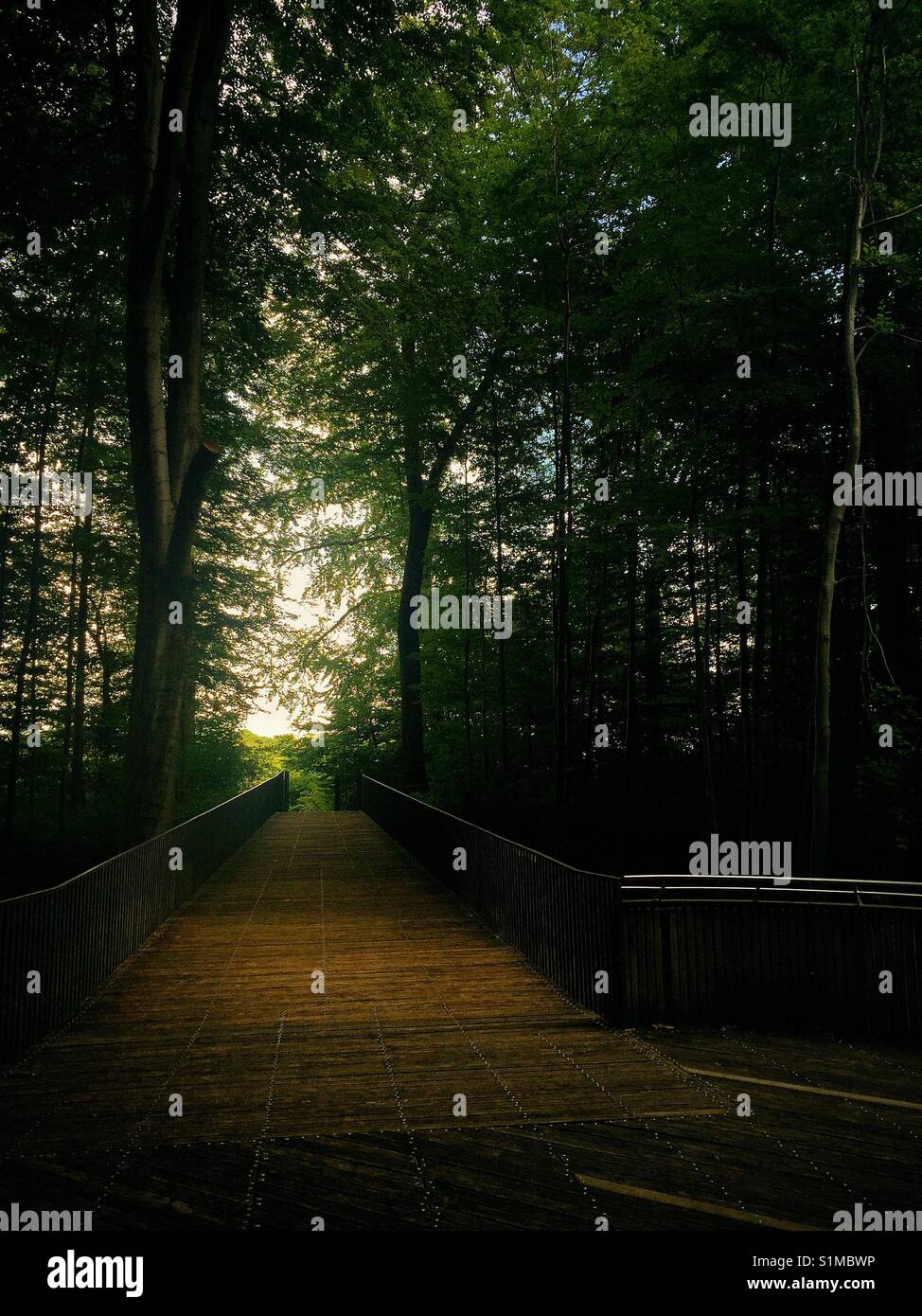 Hemer hi-res stock photography and images - Alamy