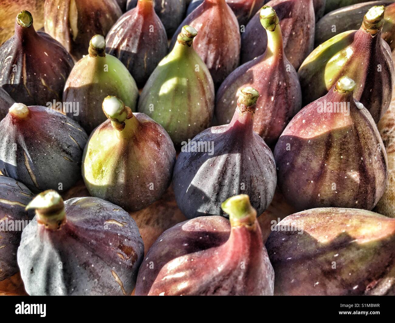Full frame view freshly hi-res stock photography and images - Alamy
