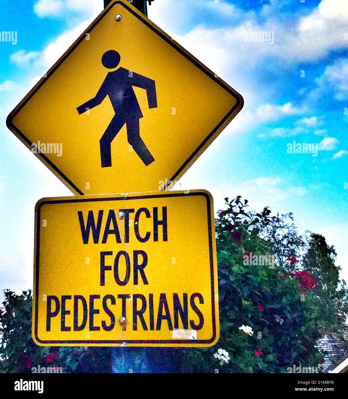 Yellow street sign, Watch for Pedestrians Stock Photo - Alamy