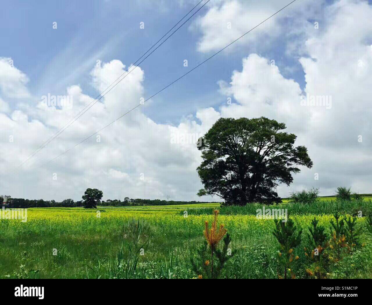 Landscape in Da Li in China Stock Photo - Alamy