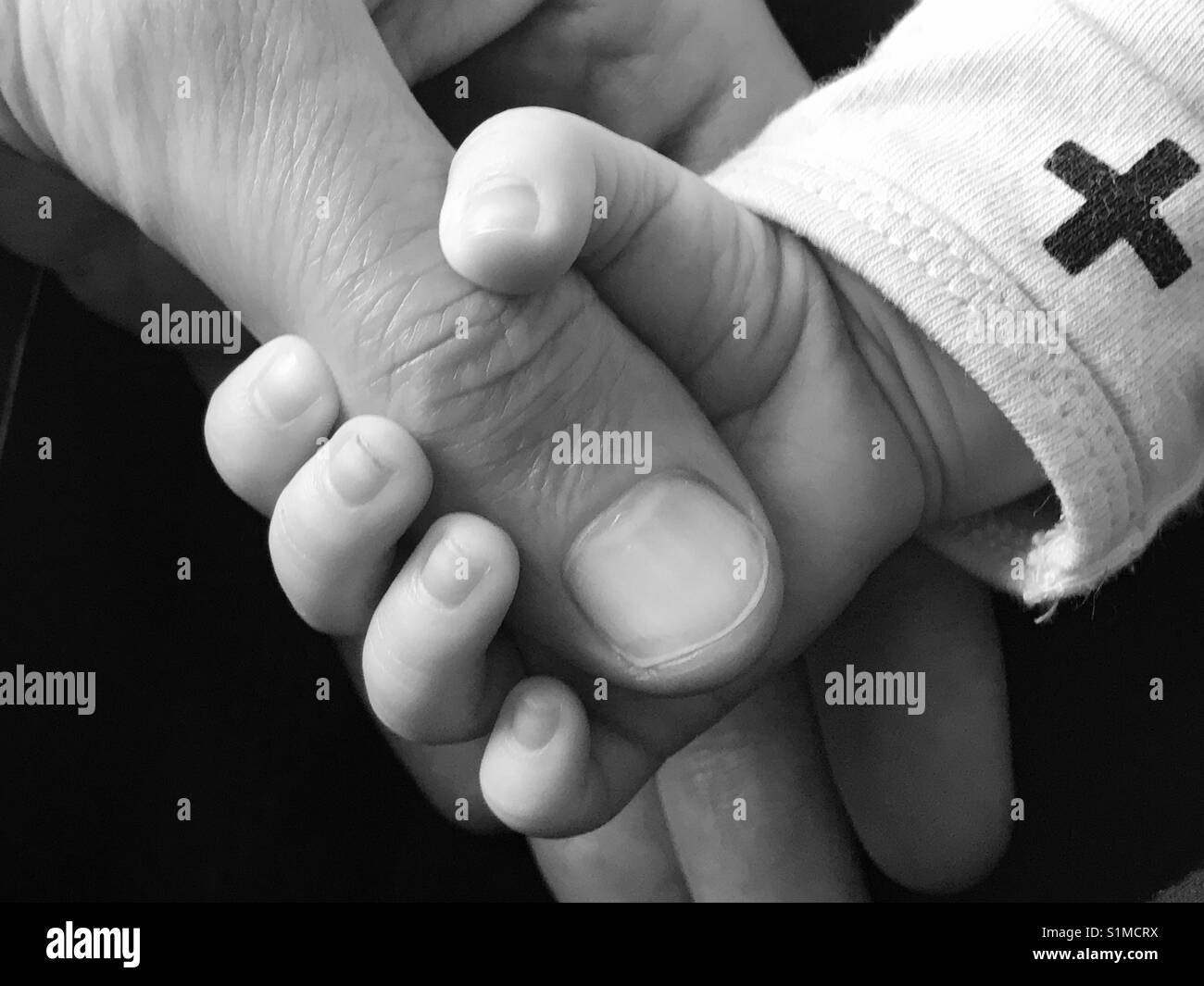 Baby holding its parent's hand Stock Photo - Alamy
