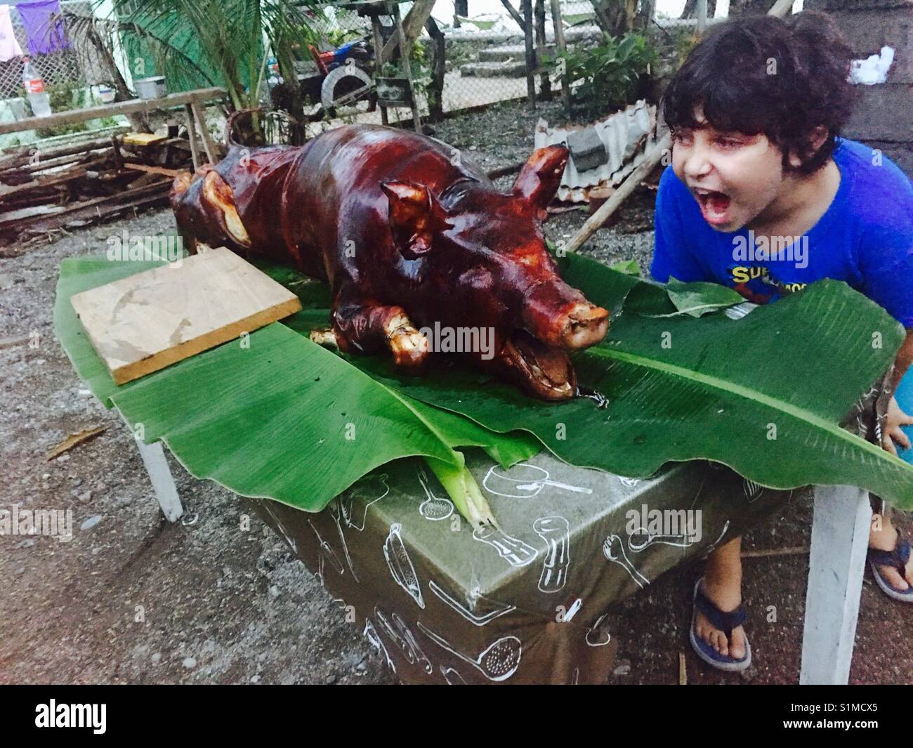 A boy looking at a roasted pig ( Lechon ) in The Philippines Stock ...