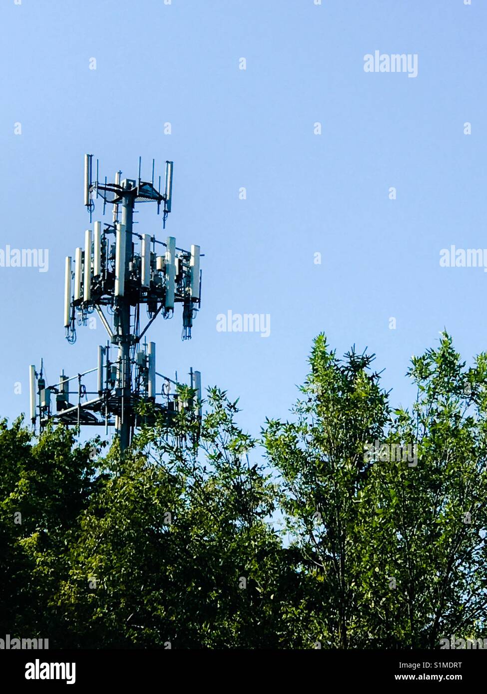 Cell tower tree hi-res stock photography and images - Alamy
