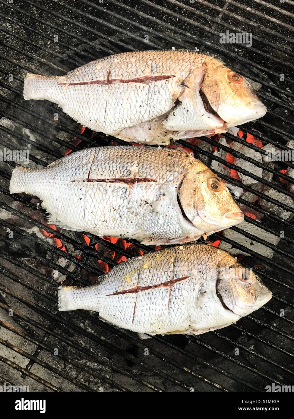 Porgies hi-res stock photography and images - Alamy