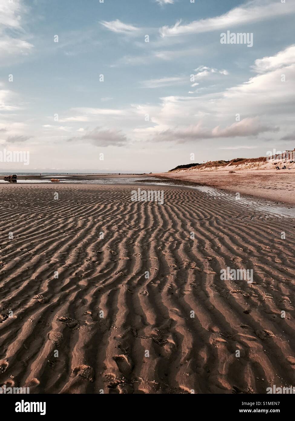 Sand texture in Cape cod, Sesuit Harbor beach Stock Photo - Alamy