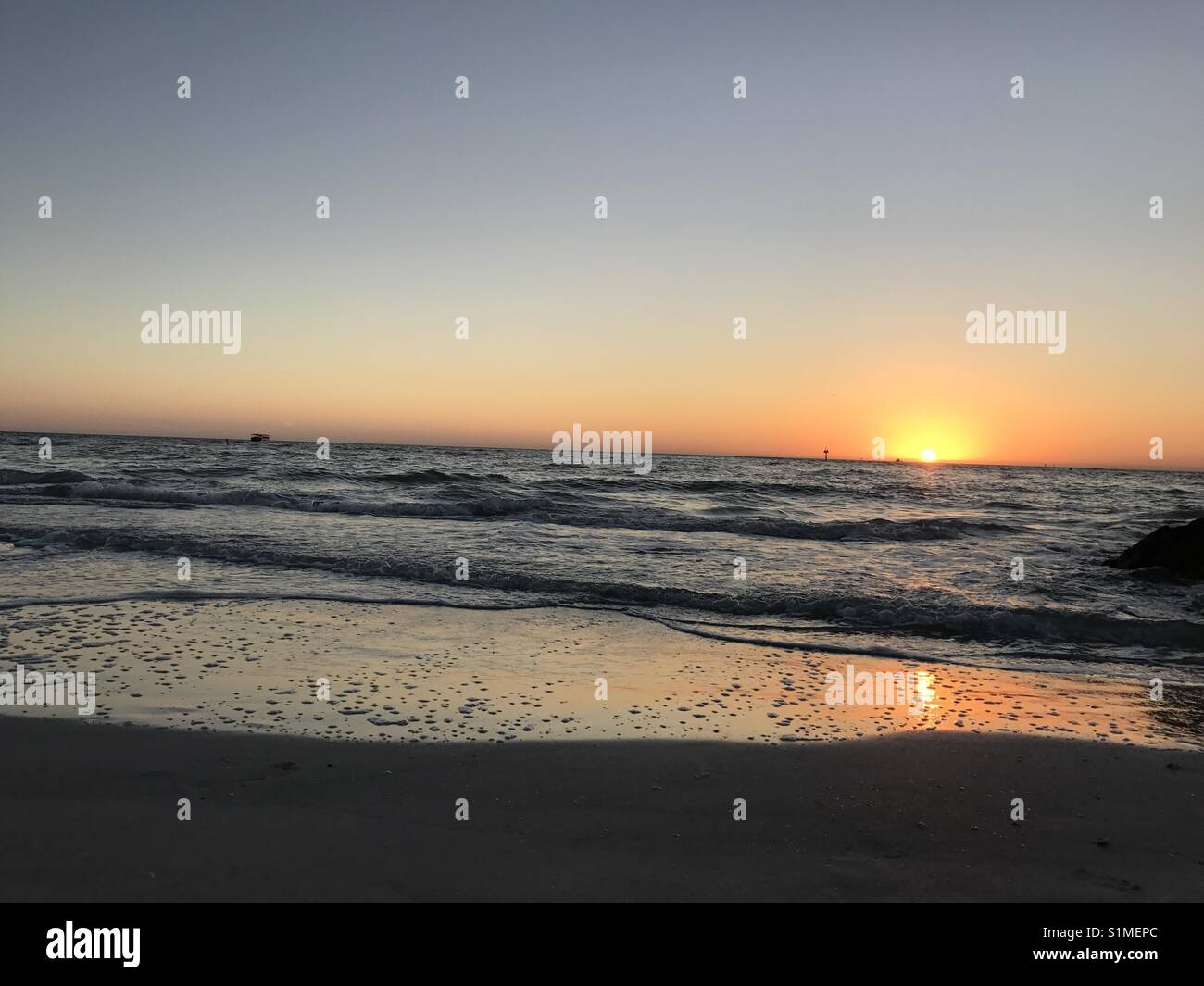 Madeira florida hi-res stock photography and images - Alamy