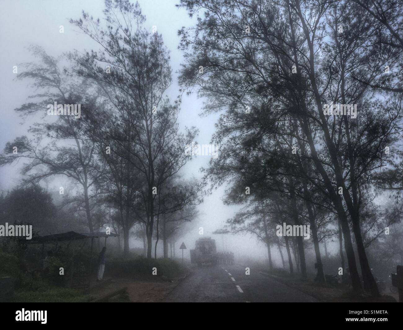 Aanavandi at ponmudi. The hillstation was hiding every person Stock ...