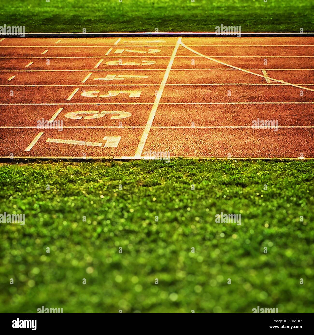 Start point of a race track in stadium Stock Photo - Alamy