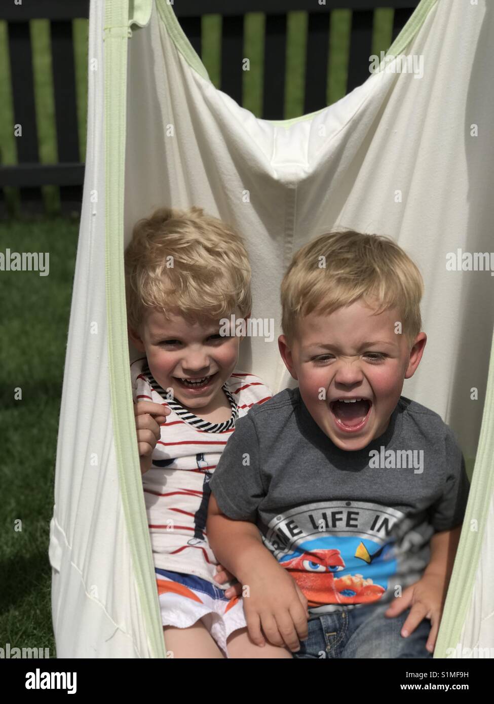 Best buddies hi-res stock photography and images - Alamy