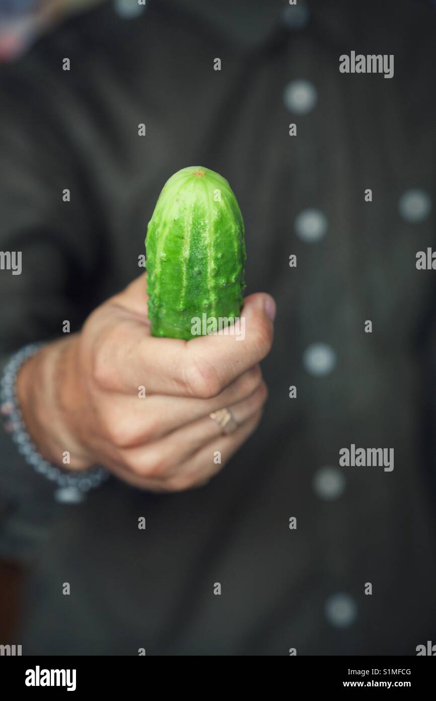 Hand holding cucumber hi-res stock photography and images - Alamy