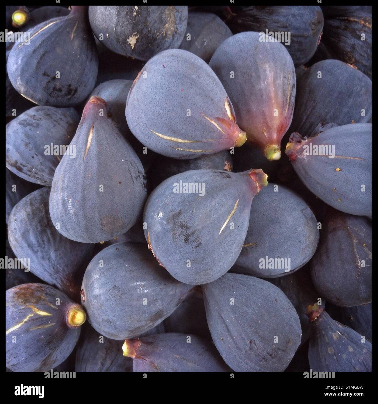 Black spanish fig hi-res stock photography and images - Alamy