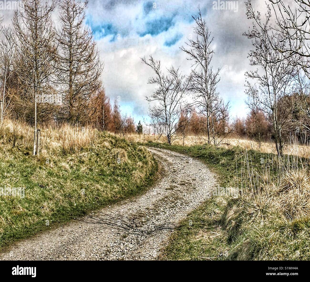 Winding path in the countryside Stock Photo - Alamy