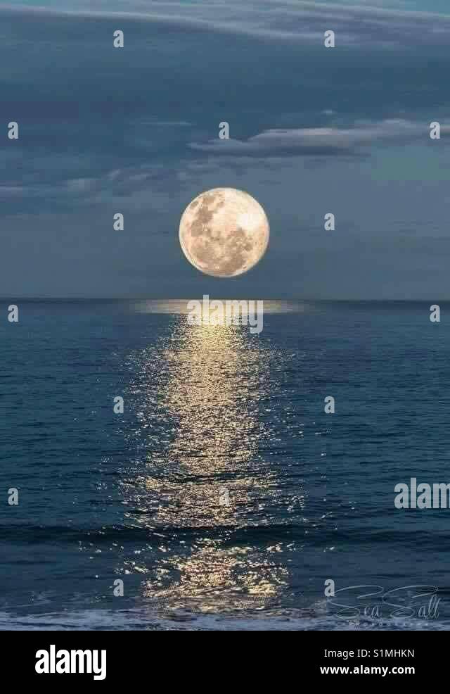 Moonlight swim hi-res stock photography and images - Alamy