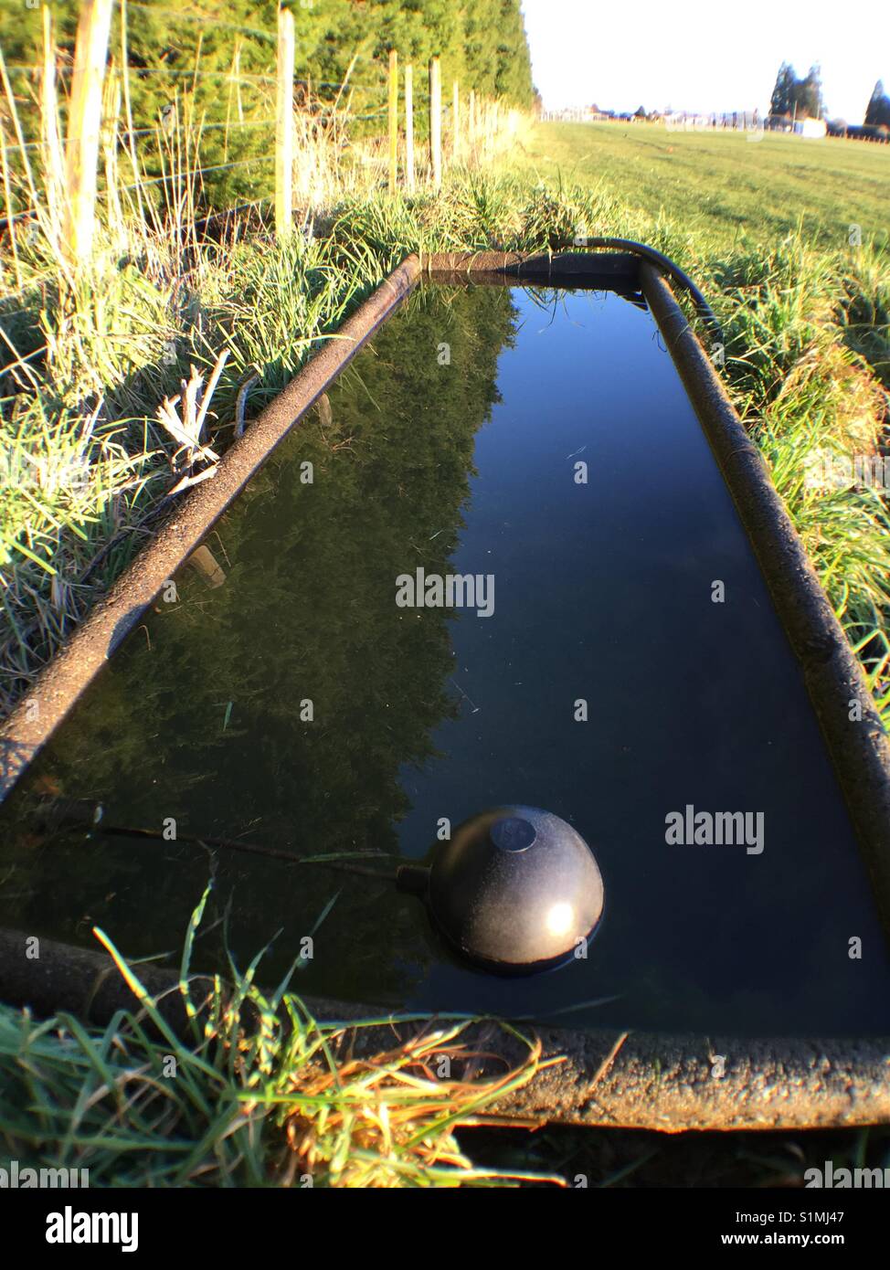 Cement and water hi-res stock photography and images - Alamy