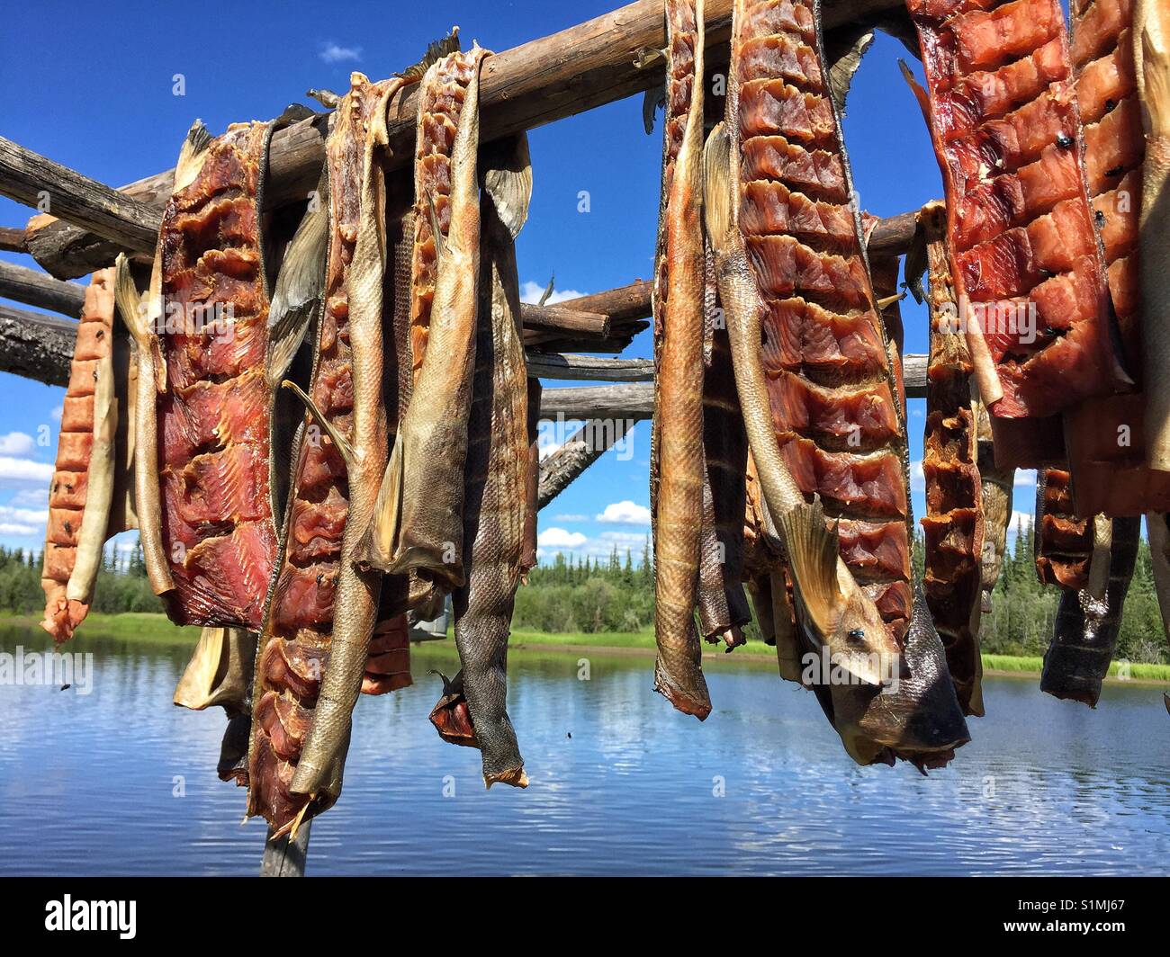 Alaska fish drying racks hi-res stock photography and images - Alamy