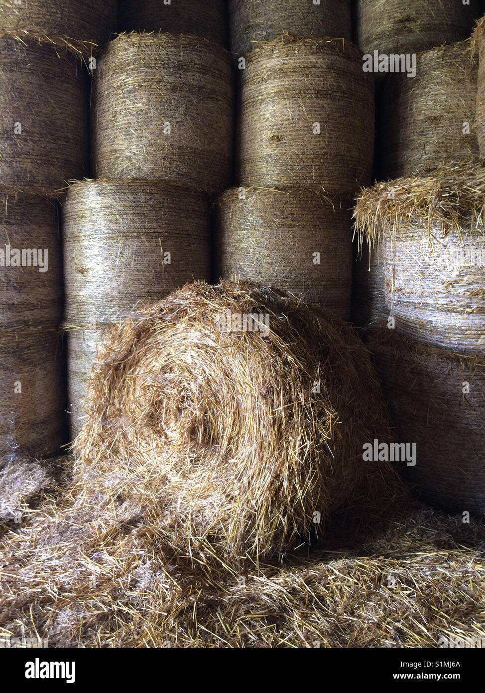 Circular bales hi-res stock photography and images - Alamy