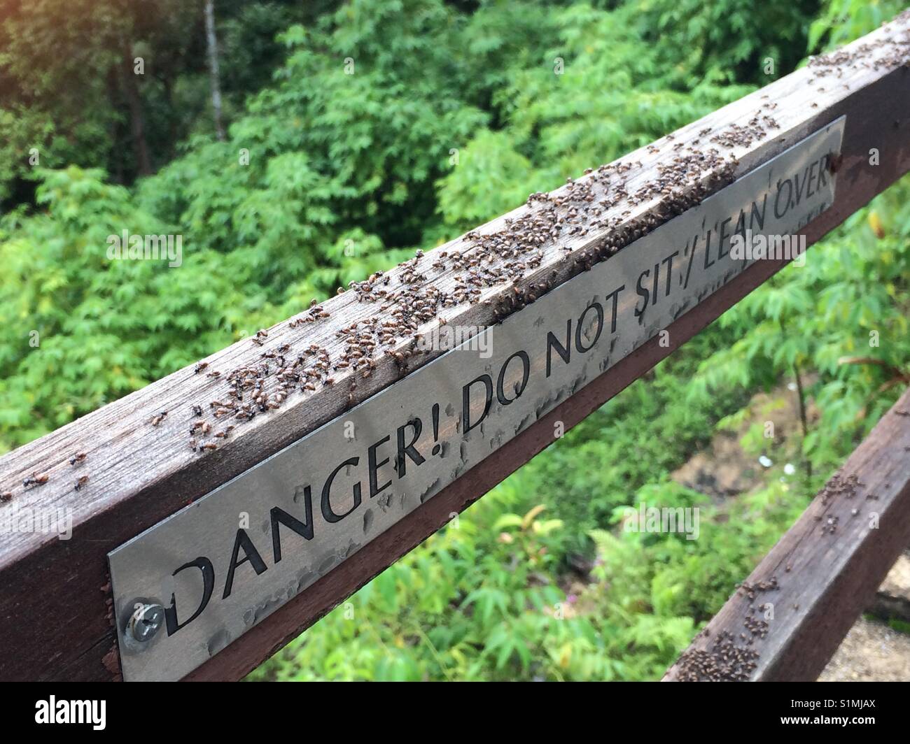 Danger! Do not sit / lean over Stock Photo - Alamy