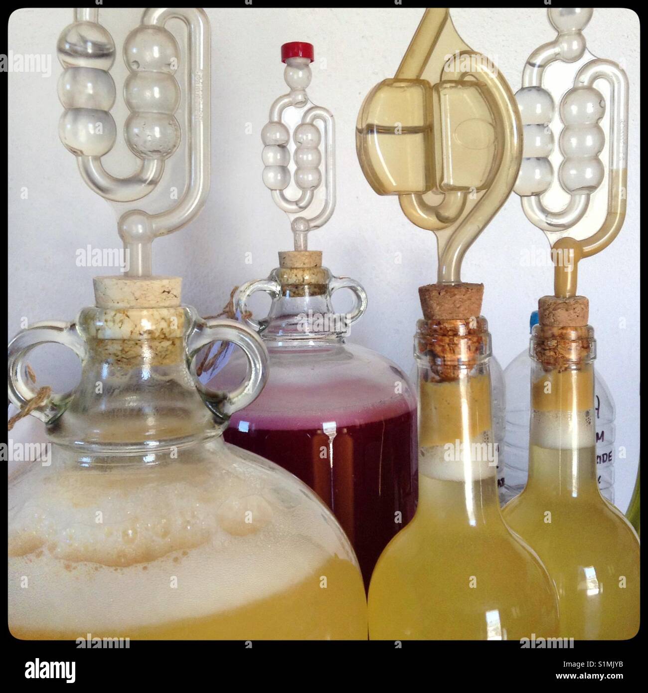 Fermenting grapes hi-res stock photography and images - Alamy