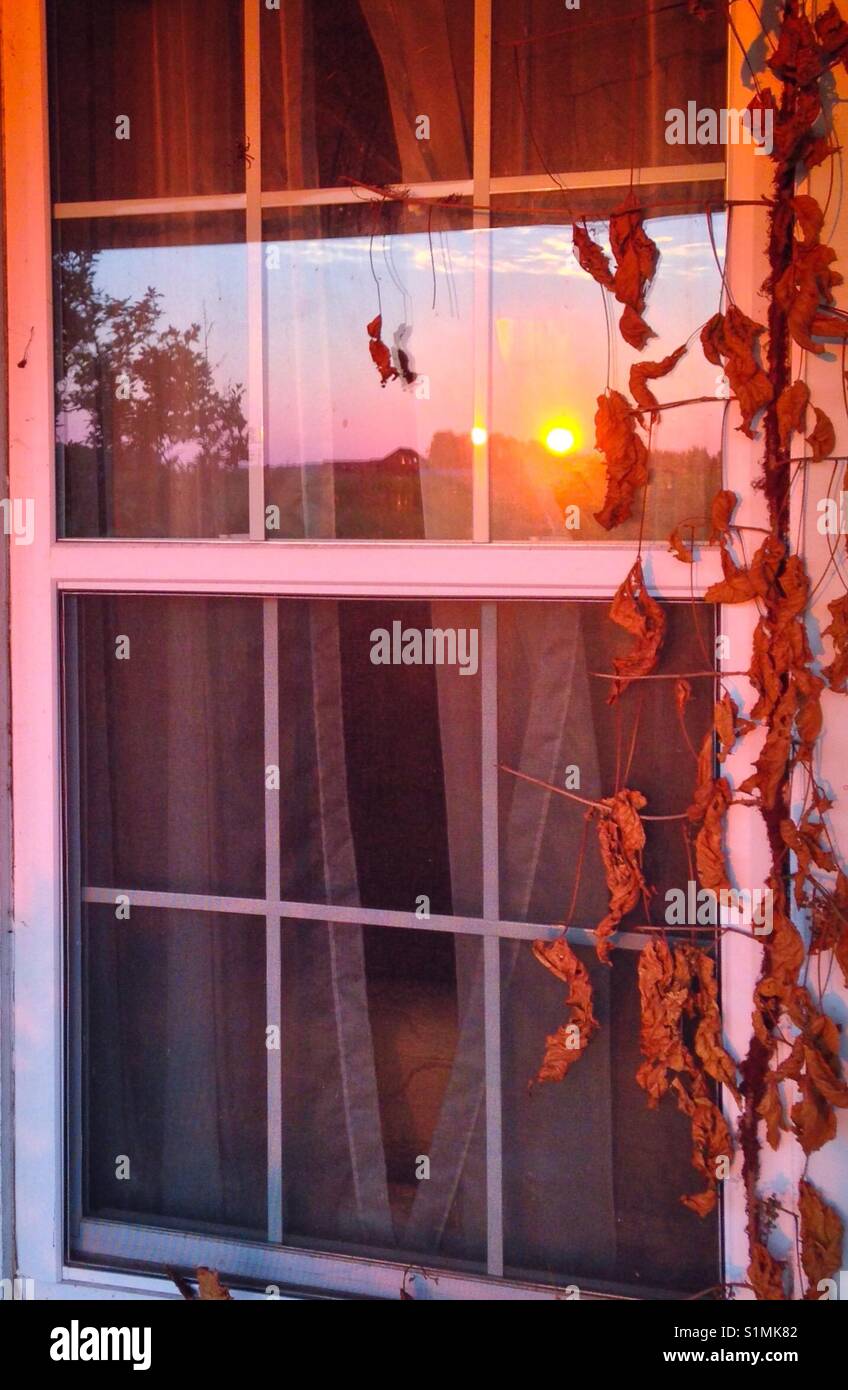 Window reflects sunset Stock Photo - Alamy
