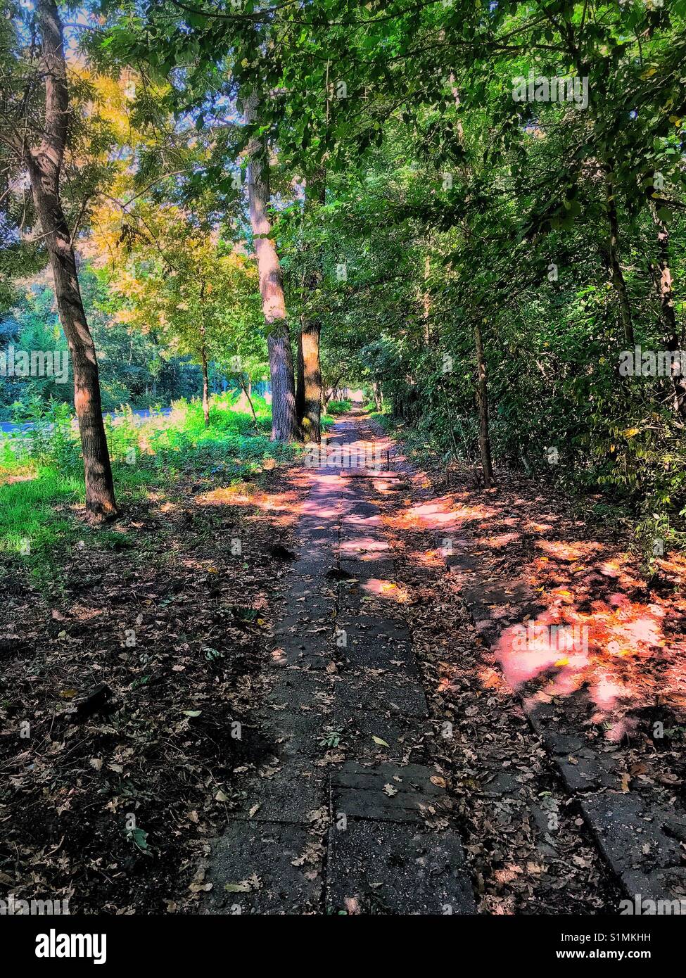Beautiful old rusty road Stock Photo - Alamy