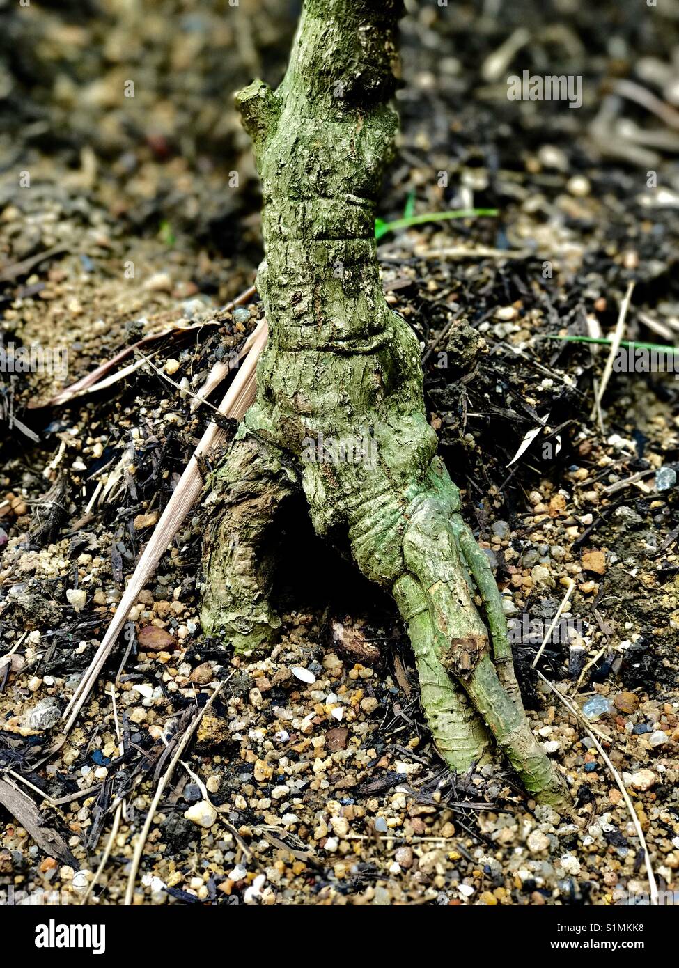 Mightier hi-res stock photography and images - Alamy