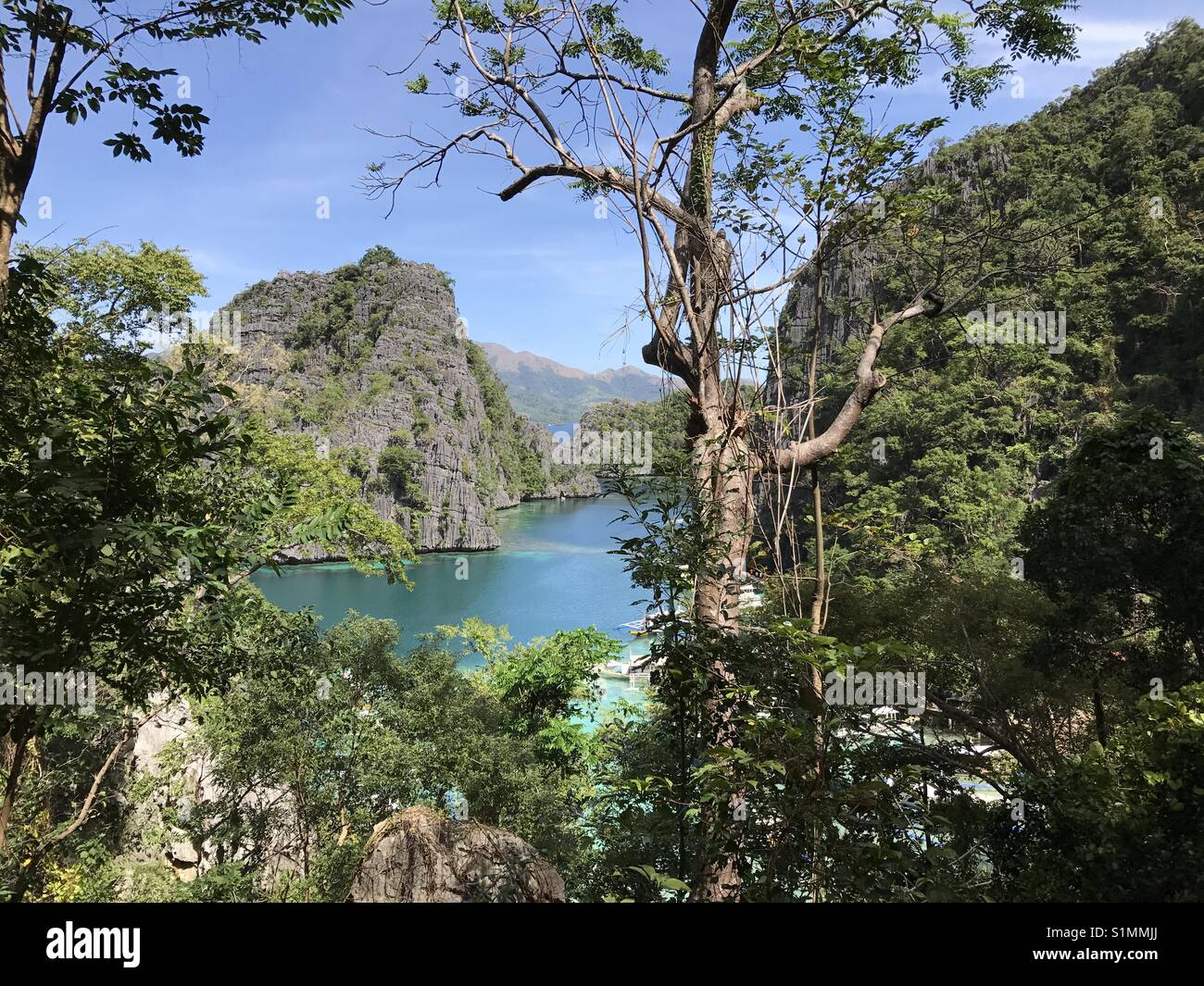 Jungle and sea hi-res stock photography and images - Alamy