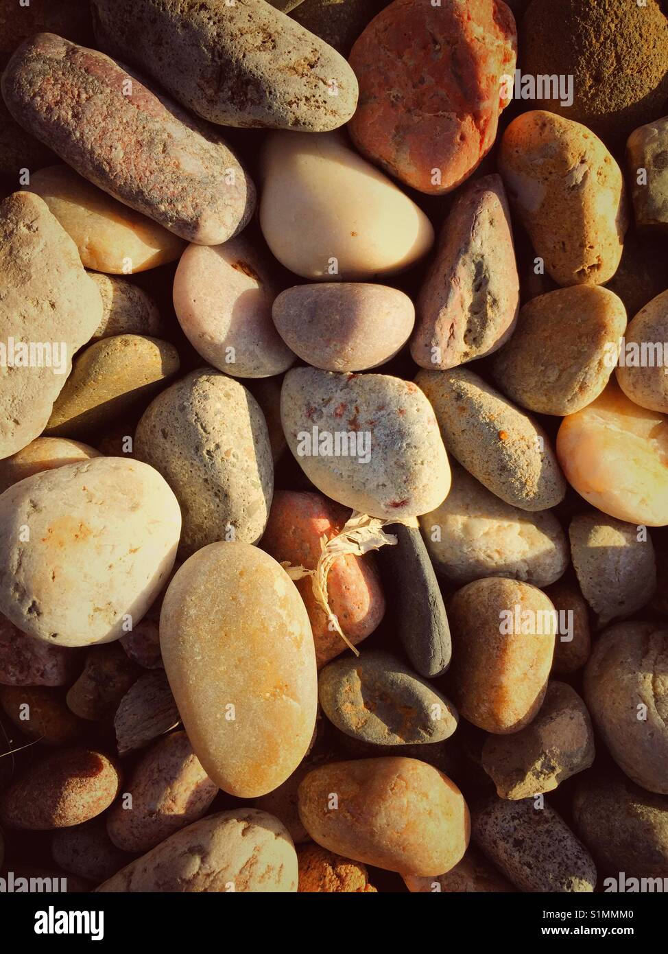 River pebbles garden hi-res stock photography and images - Alamy