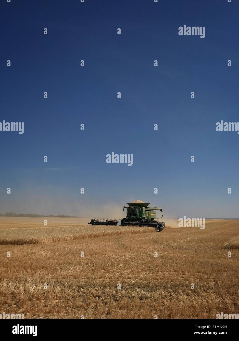 Combine harvesting barley in Southern Alberta, Canada Stock Photo - Alamy