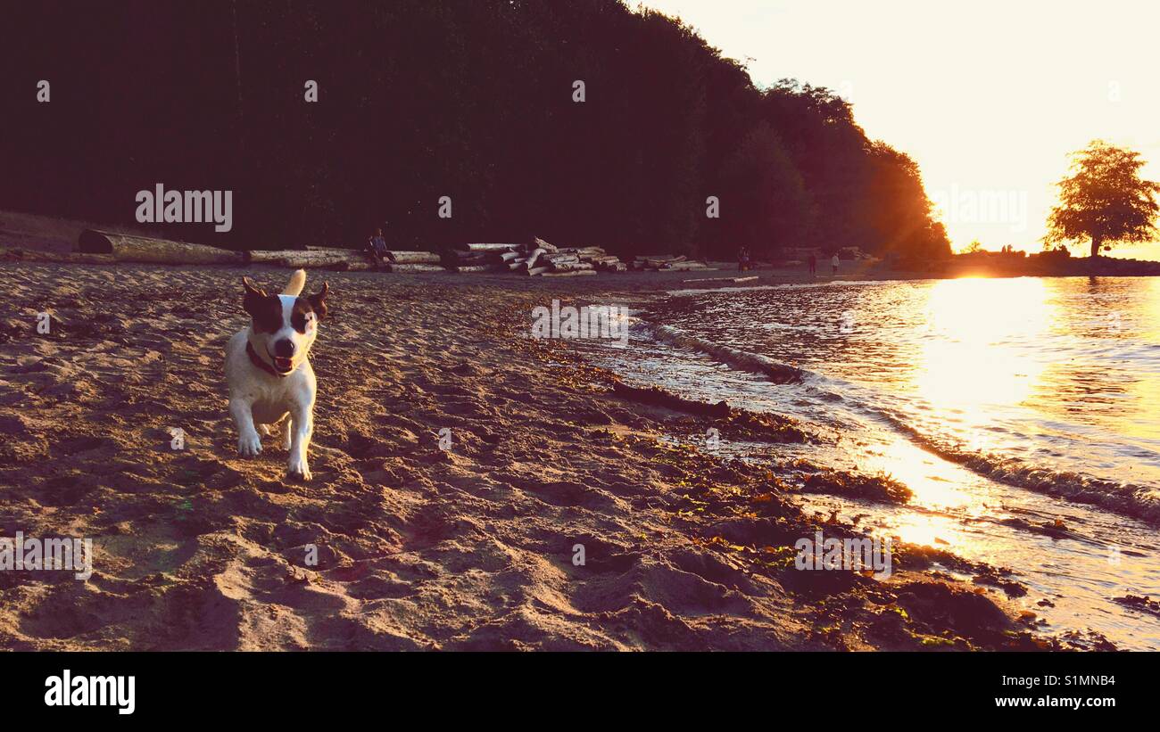16x9 hi-res stock photography and images - Alamy