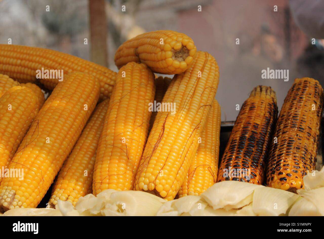 Misir corn hi-res stock photography and images - Alamy
