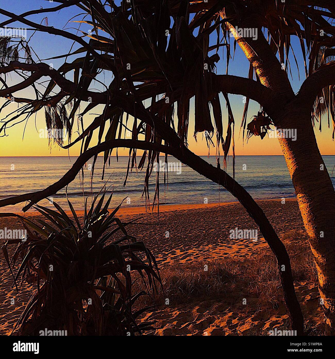 Pandanus Beach High Resolution Stock Photography and Images - Alamy
