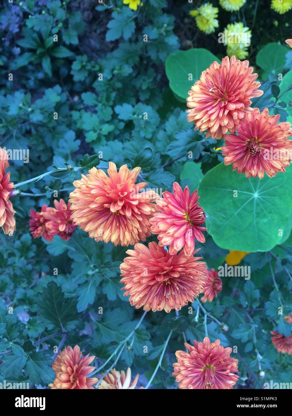 Loving nature hi-res stock photography and images - Alamy