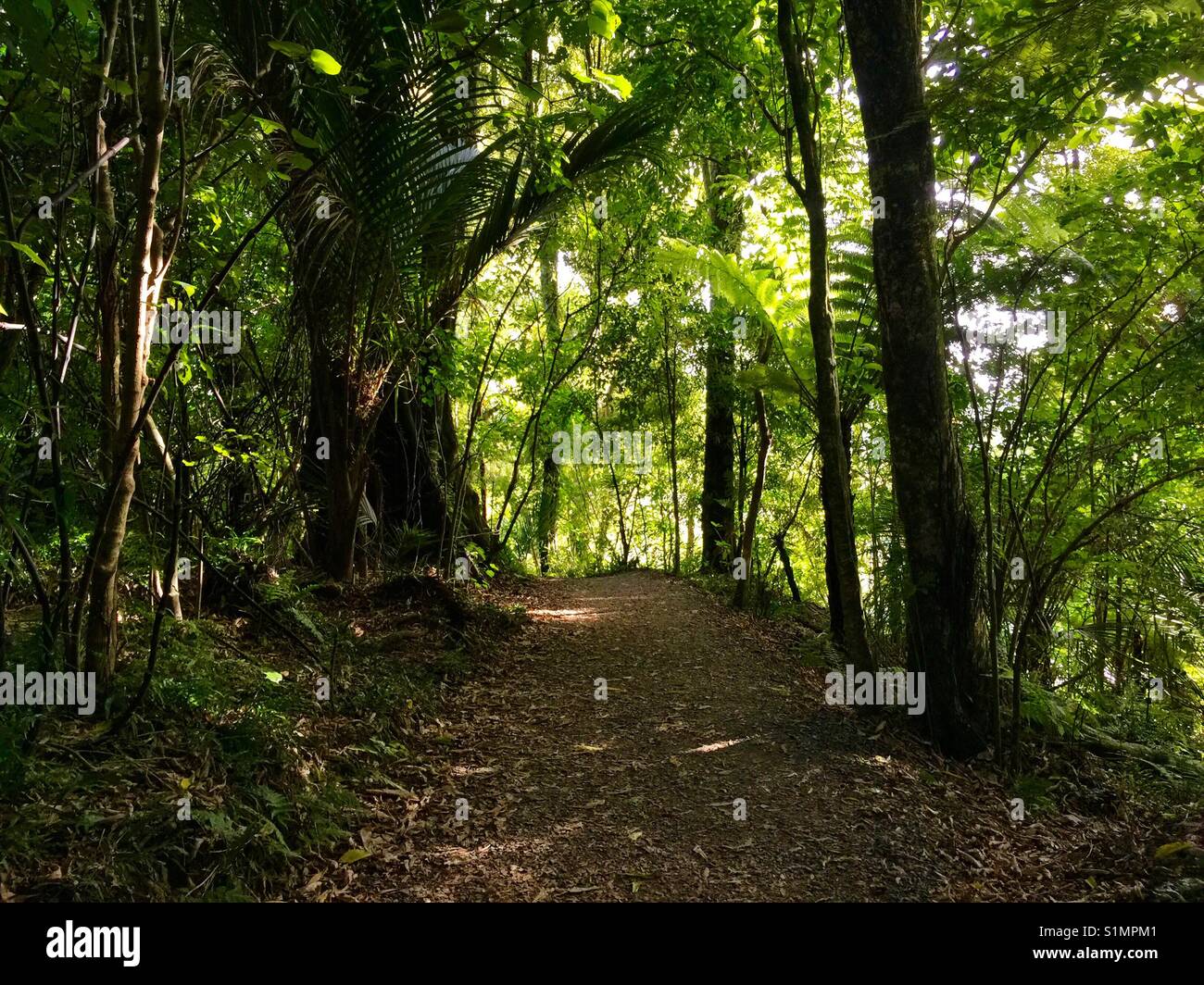 The less taken hi-res stock photography and images - Alamy