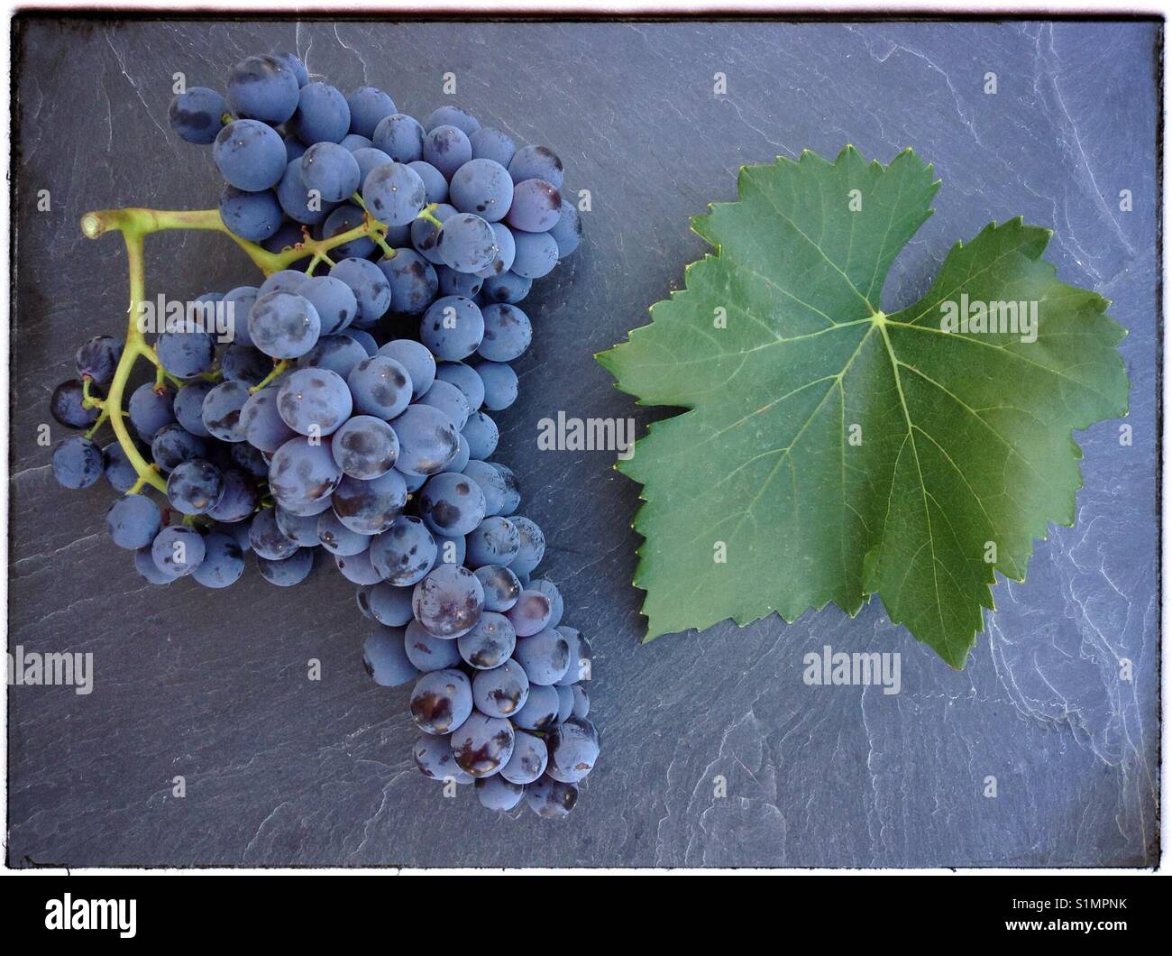 Grenache hi-res stock photography and images - Alamy