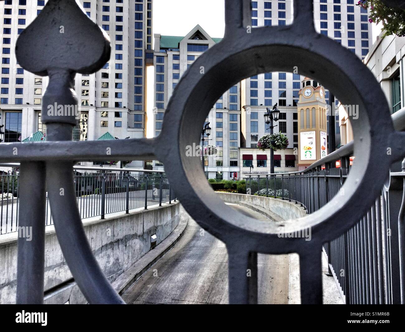 Peering through the fence hi-res stock photography and images - Alamy