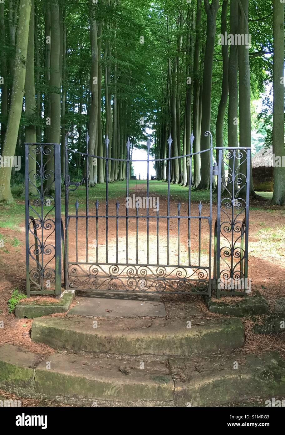 Gate Shade Trees High Resolution Stock Photography and Images - Alamy