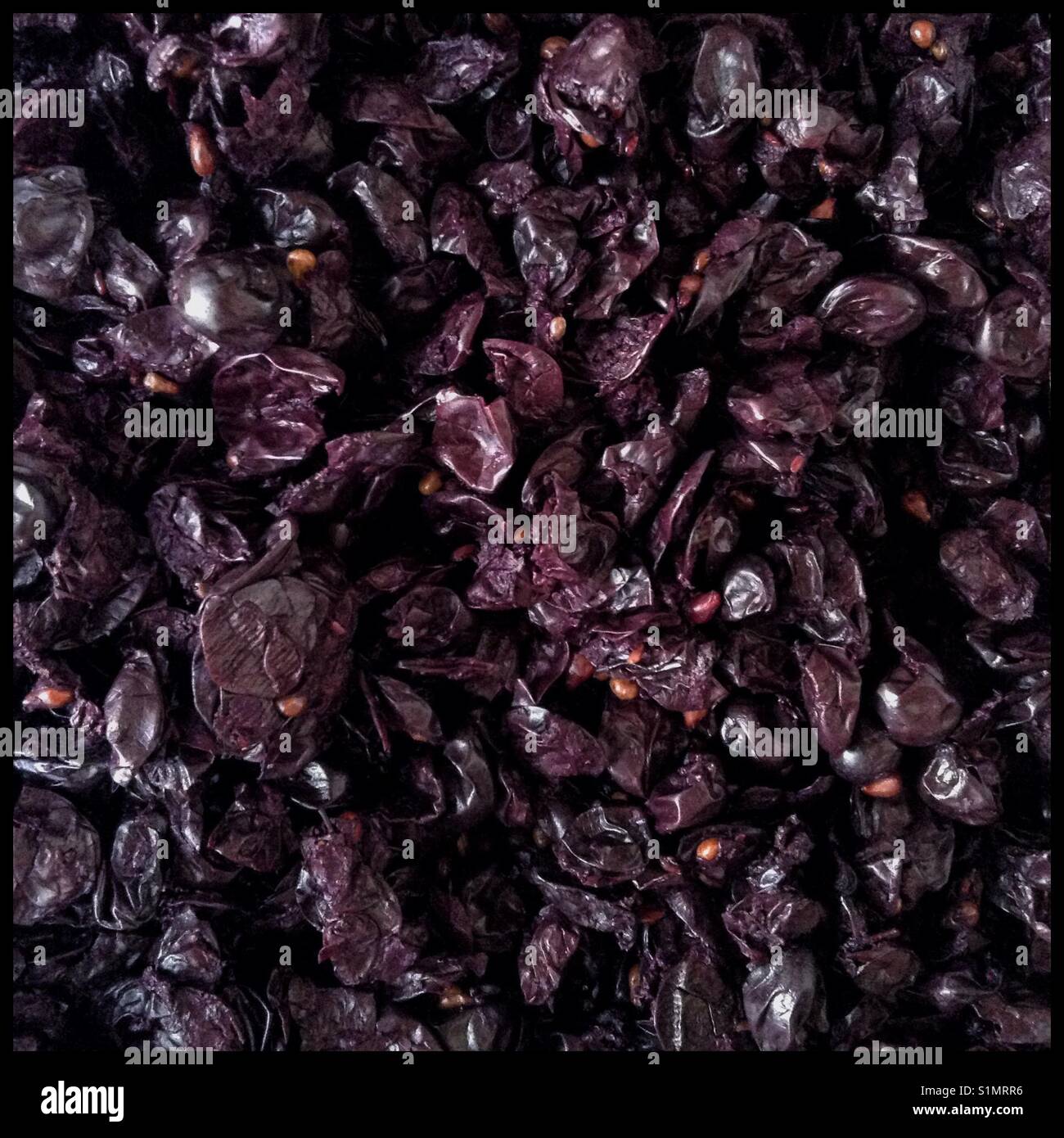 The dried pomace "cake" (skins) left over from pressing Syrah grapes ...