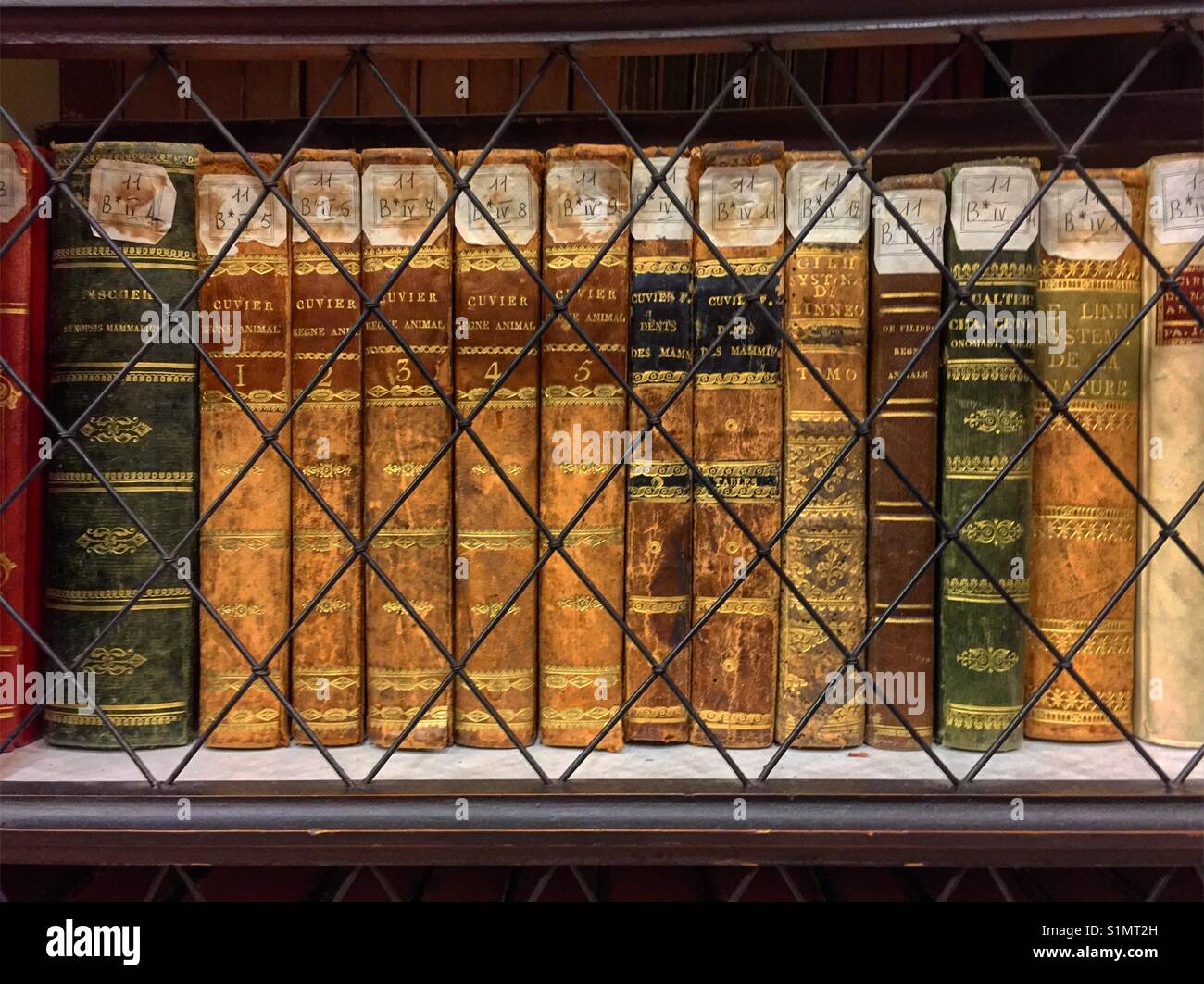 Old books at an italian library Stock Photo - Alamy